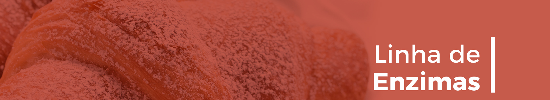 O que são enzimas? – PMAN
