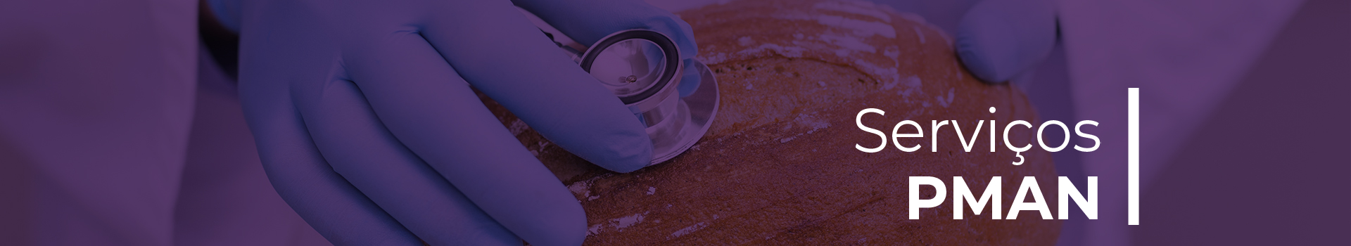 Serviços – PMAN