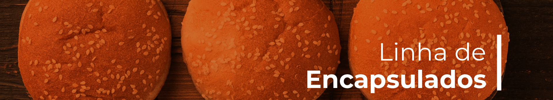 Encapsulados – PMAN